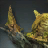 Sea Turtle Pet - ArcheAge Wiki