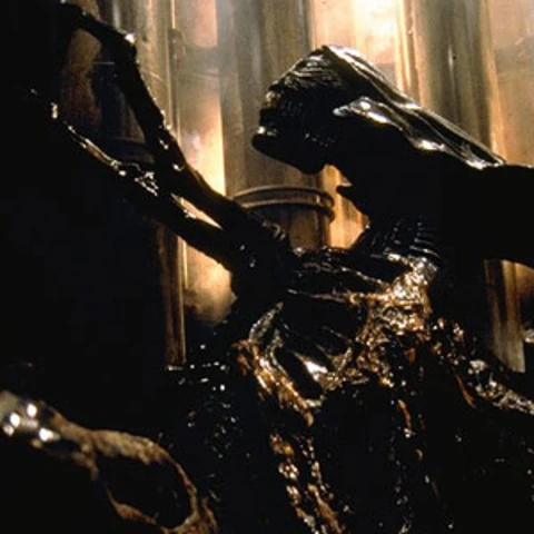 Nowa królowa | Acheron Wiki | Fandom