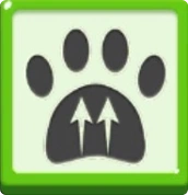 Spirit Front Arrow | Archero Wiki | Fandom