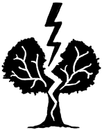 Magie | Wiki Archie Green | Fandom