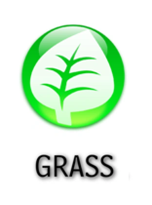 Grass-type | Archie: Sonic Pokémon Wiki | Fandom