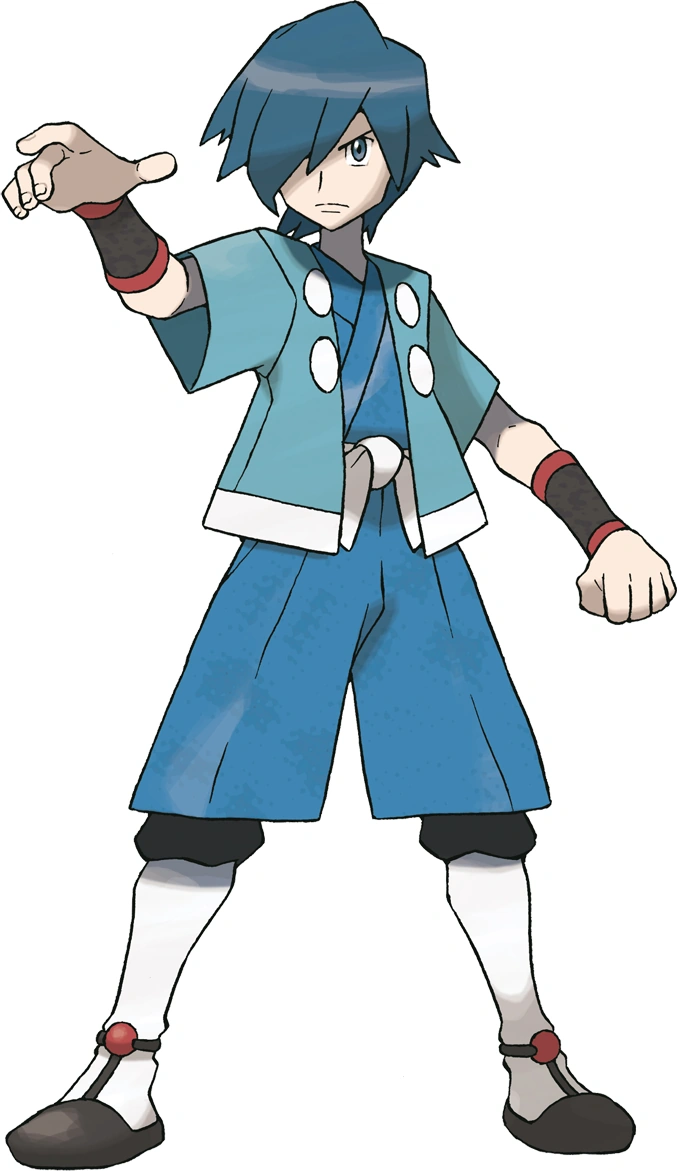 Falkner | Archie: Sonic Pokémon Wiki | Fandom