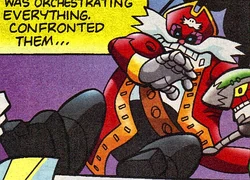 Captain Whisker | Mobius Encyclopaedia | Fandom