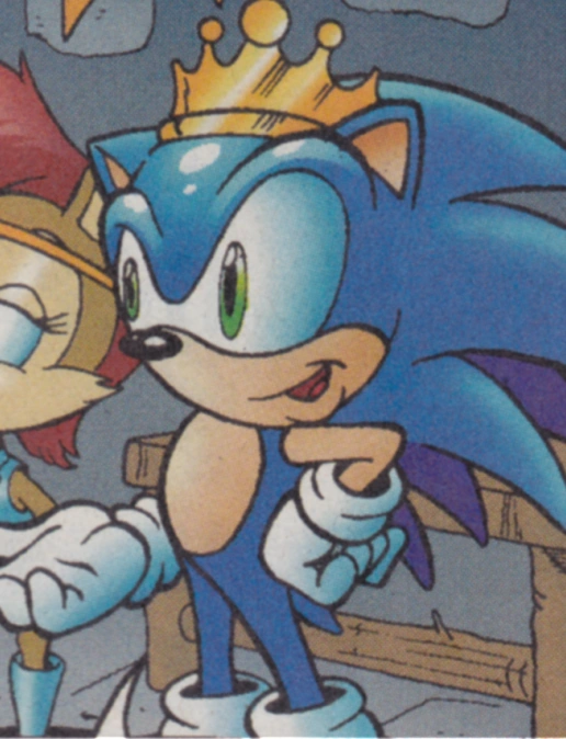 Sonic the Hedgehog (Alternate Future) | Mobius Encyclopaedia | Fandom