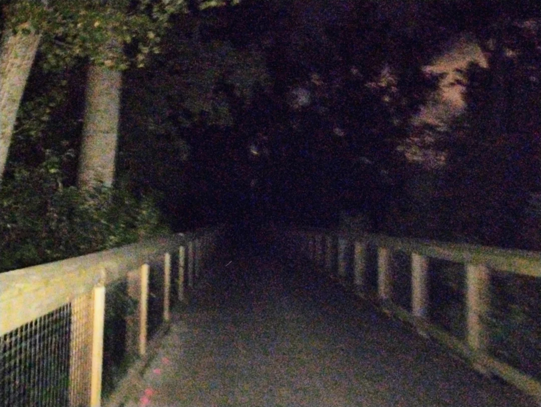 Rickety Paths | Archives of the Lost Wiki | Fandom