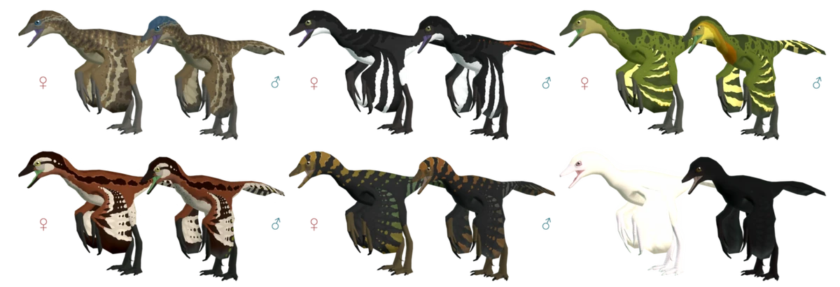 Archaeopteryx | The Archotek Project Wiki | Fandom