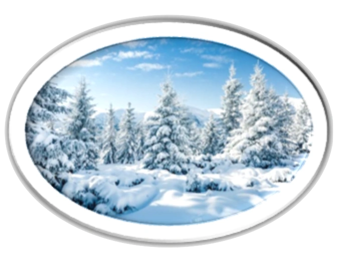 IceClan | Arctic Clans Wiki | Fandom