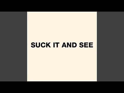 Piledriver Waltz | Arctic Monkeys Wiki | Fandom