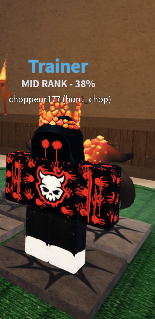 Trainer | Arctic's Kingdom Wiki | Fandom