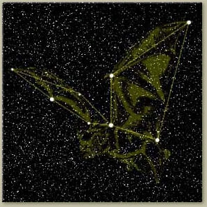Rat (constellation) | Arcus Wiki | Fandom