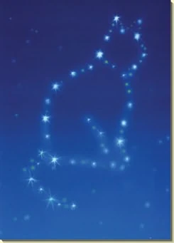 Cat (constellation) | Arcus Wiki | Fandom