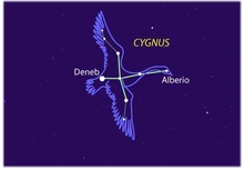 Duck (constellation) | Arcus Wiki | Fandom
