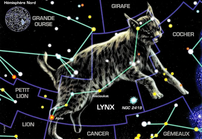Lynx (constellation) | Arcus Wiki | Fandom