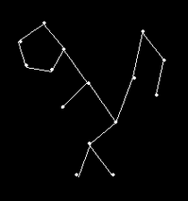 Monkey (constellation) | Arcus Wiki | Fandom