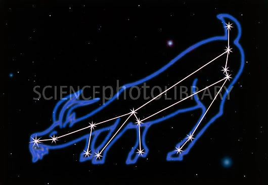 Goat (constellation) | Arcus Wiki | Fandom