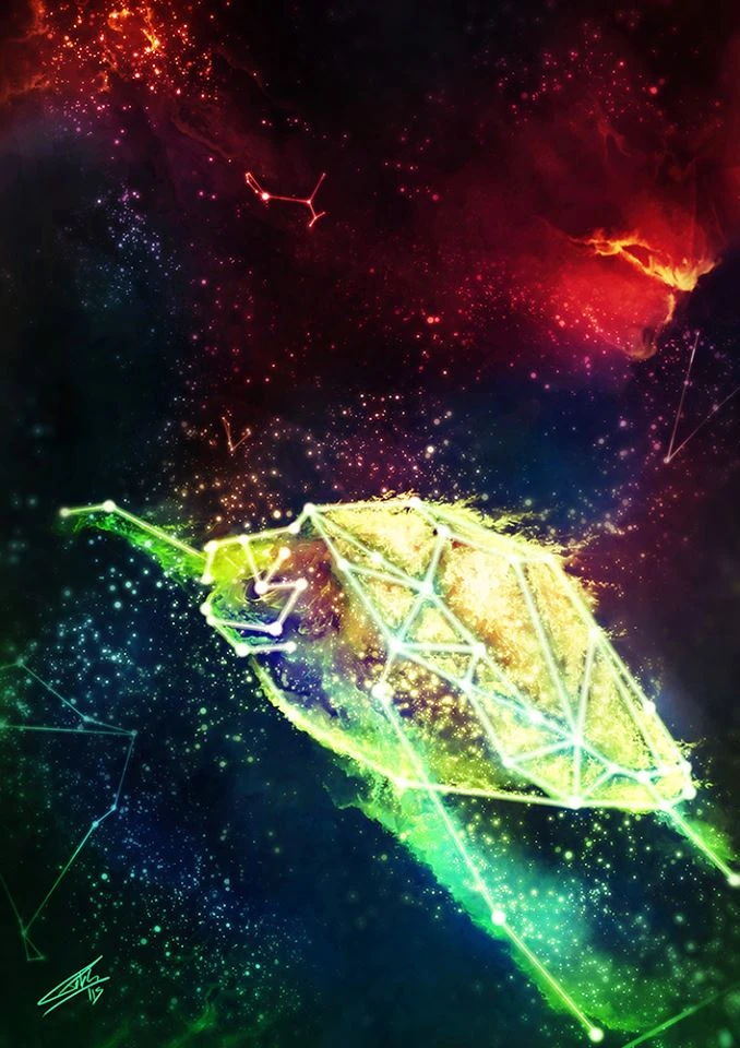 Tortoise (constellation) | Arcus Wiki | Fandom