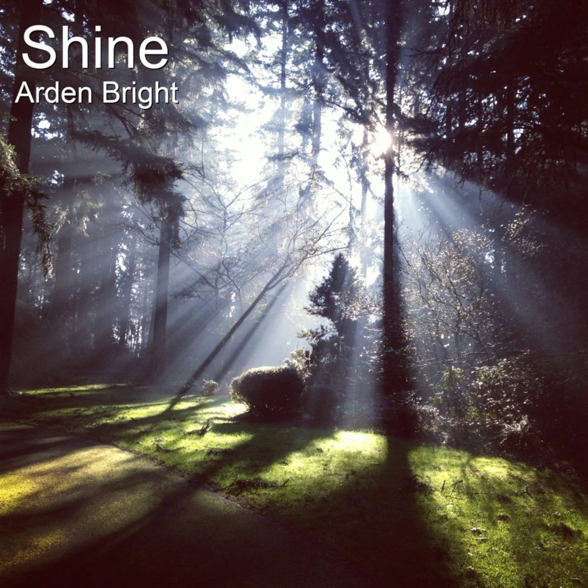 Arden Bright (Shine song) wiki | Arden Bright Wiki | Fandom