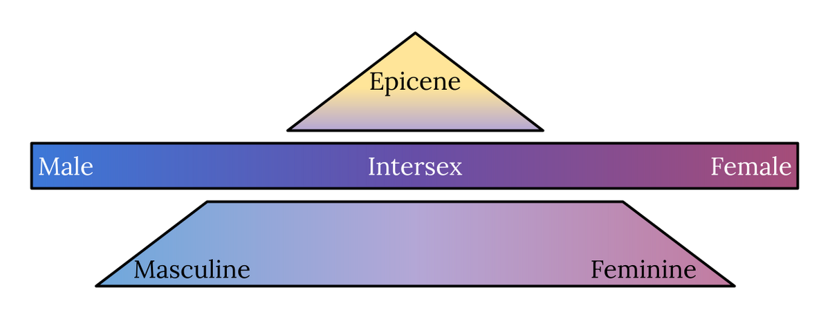 Gender Sex And Orientation Ardwind Wiki Fandom