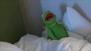 Kermit the Frog | Are U Super Cereal Wiki | Fandom