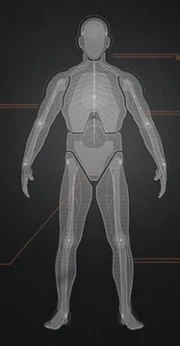 Health System | Arena Breakout Wiki | Fandom