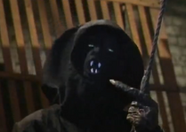 The Tale of Jake the Snake | Are You Afraid of the Dark Wiki | Fandom