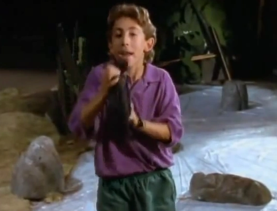 Benjamin Plener | Are You Afraid of the Dark Wiki | Fandom