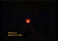 The Iris | Alternate Reality Games Wiki | Fandom