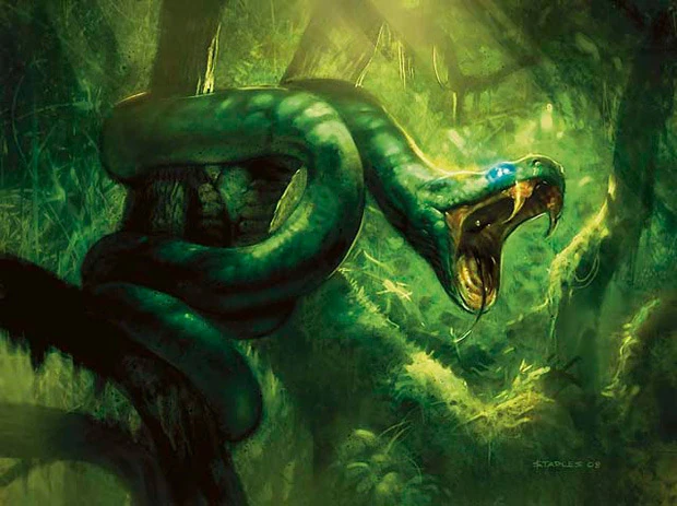 Mboi | Wiki Argenteus | Fandom