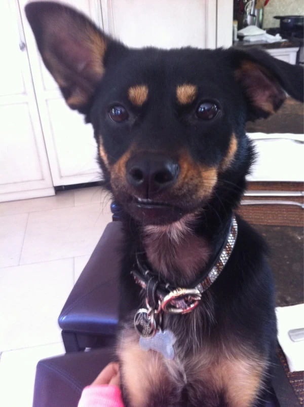 Coco | Ariana Grande Wiki | Fandom