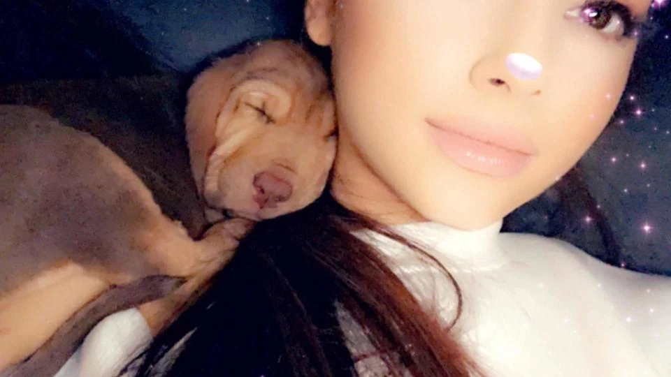 Lily | Ariana Grande Wiki | Fandom