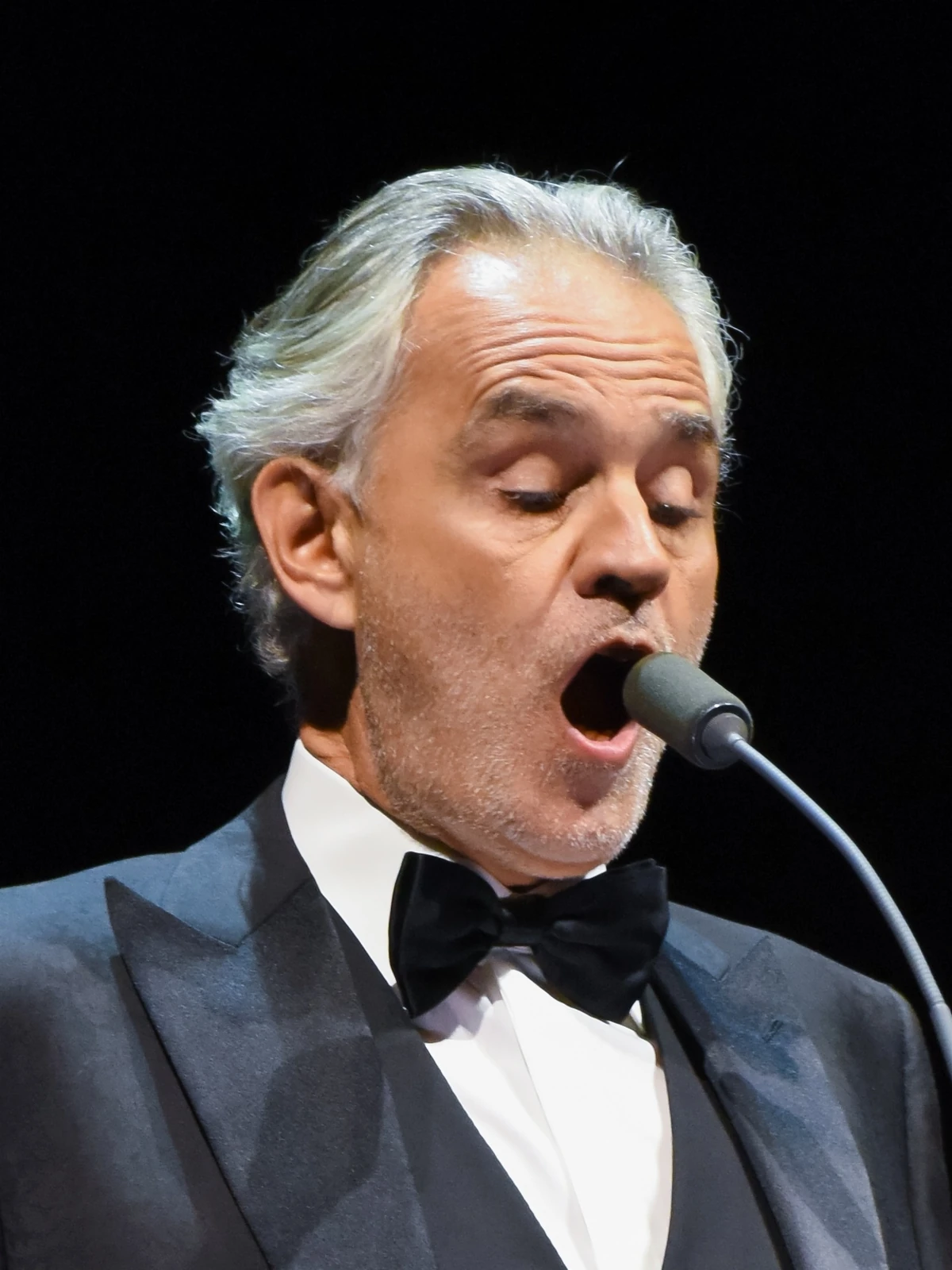 Andrea Bocelli | Ariana Grande Wiki | Fandom