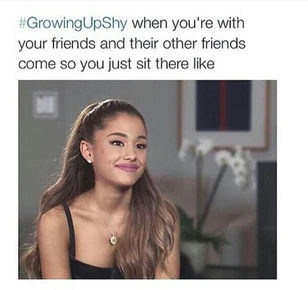 User blog:I'm an Arinator/memes | Ariana Grande Wiki | Fandom