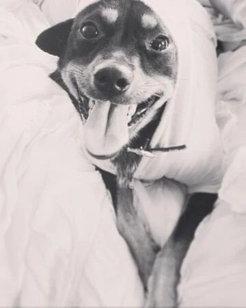 Coco/Galeria | Ariana Grande Wiki | Fandom