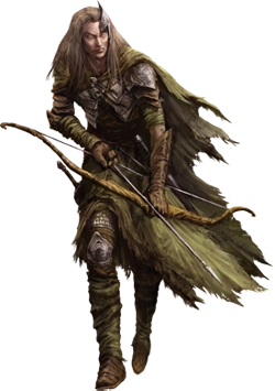 Elfes sauvages | Wiki Arieda | Fandom