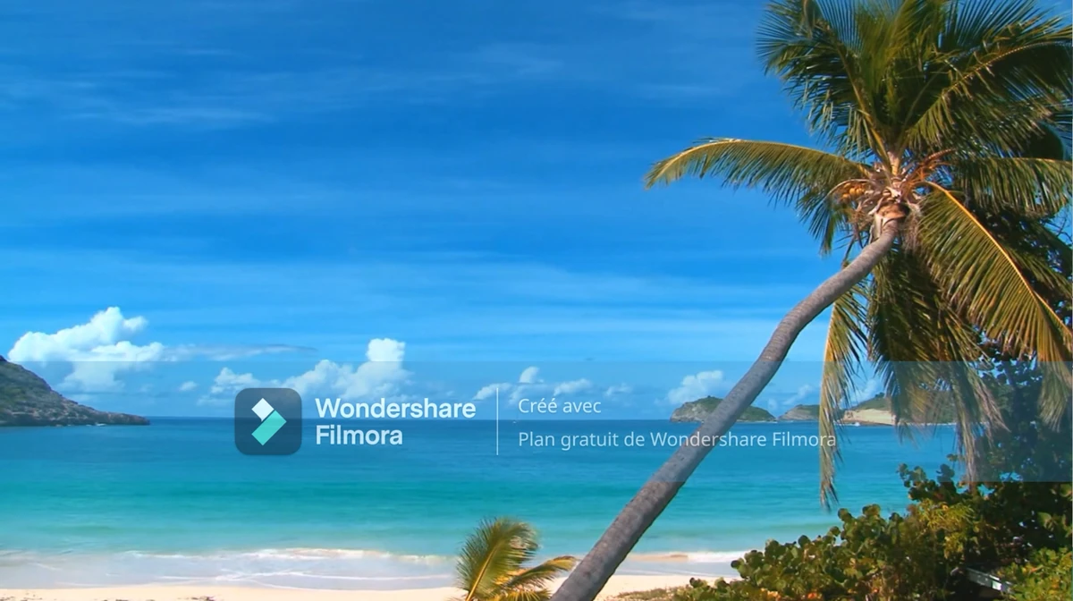 The beach | Ariol Save the world Wiki | Fandom