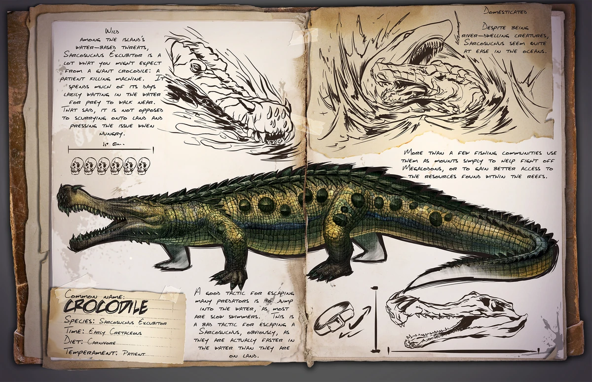 Crocodile | ARK: Survival Evolved Вики | Fandom