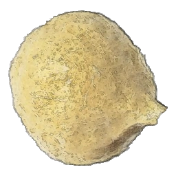 Cnidaria Toxin Sac | ARK: Survival Plus Wikia | Fandom