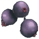 Mejoberry | ARK: Survival Evolved Wiki | Fandom