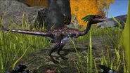 Compsognathus | ARK: Survival Evolved Wiki | Fandom