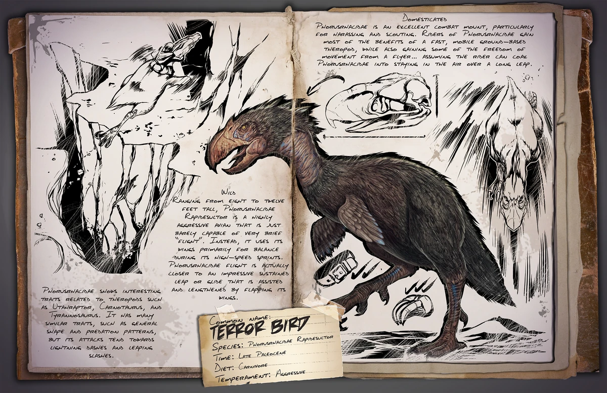 Terror Bird | ARK: Survival Evolved Wiki | Fandom