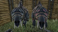 Phiomia | ARK: Survival Evolved Wiki | Fandom