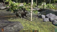 Phiomia | ARK: Survival Evolved Wiki | Fandom