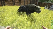 Sabertooth | ARK: Survival Evolved Wiki | Fandom