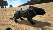 Sabertooth | ARK: Survival Evolved Wiki | Fandom