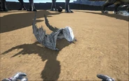 Dimorphodon | ARK: Survival Evolved Wiki | Fandom
