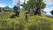 Tyrannosaurus Rex | ARK: Survival Evolved Wiki | Fandom