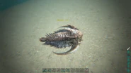 Trilobite | ARK: Survival Evolved Wiki | Fandom