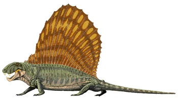 Dimetrodon | ARK: Survival Evolved Wiki | Fandom