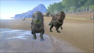 Pachycephalosaurus | ARK: Survival Evolved Wiki | Fandom