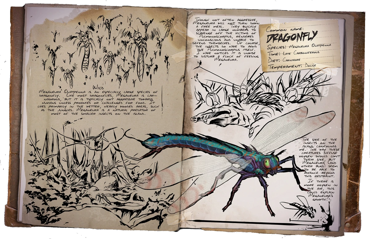 Dragon Fly | Wikia Ark Survival Evolved | Fandom